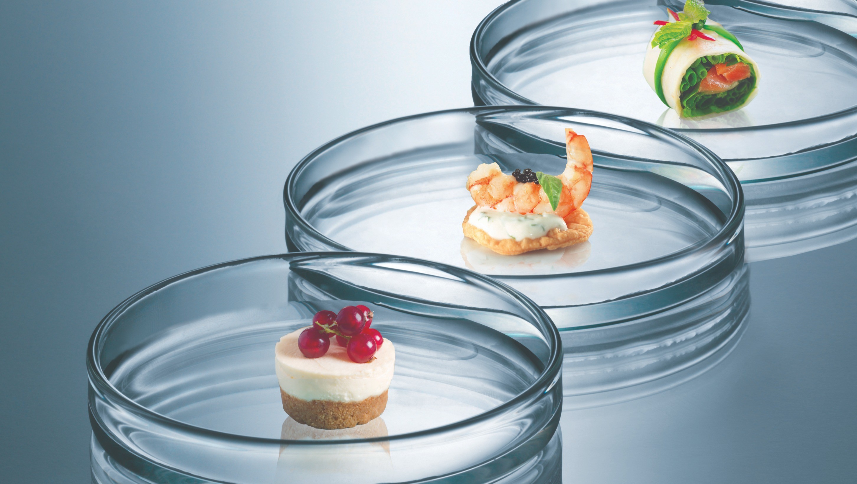 Analyseren met Silliker