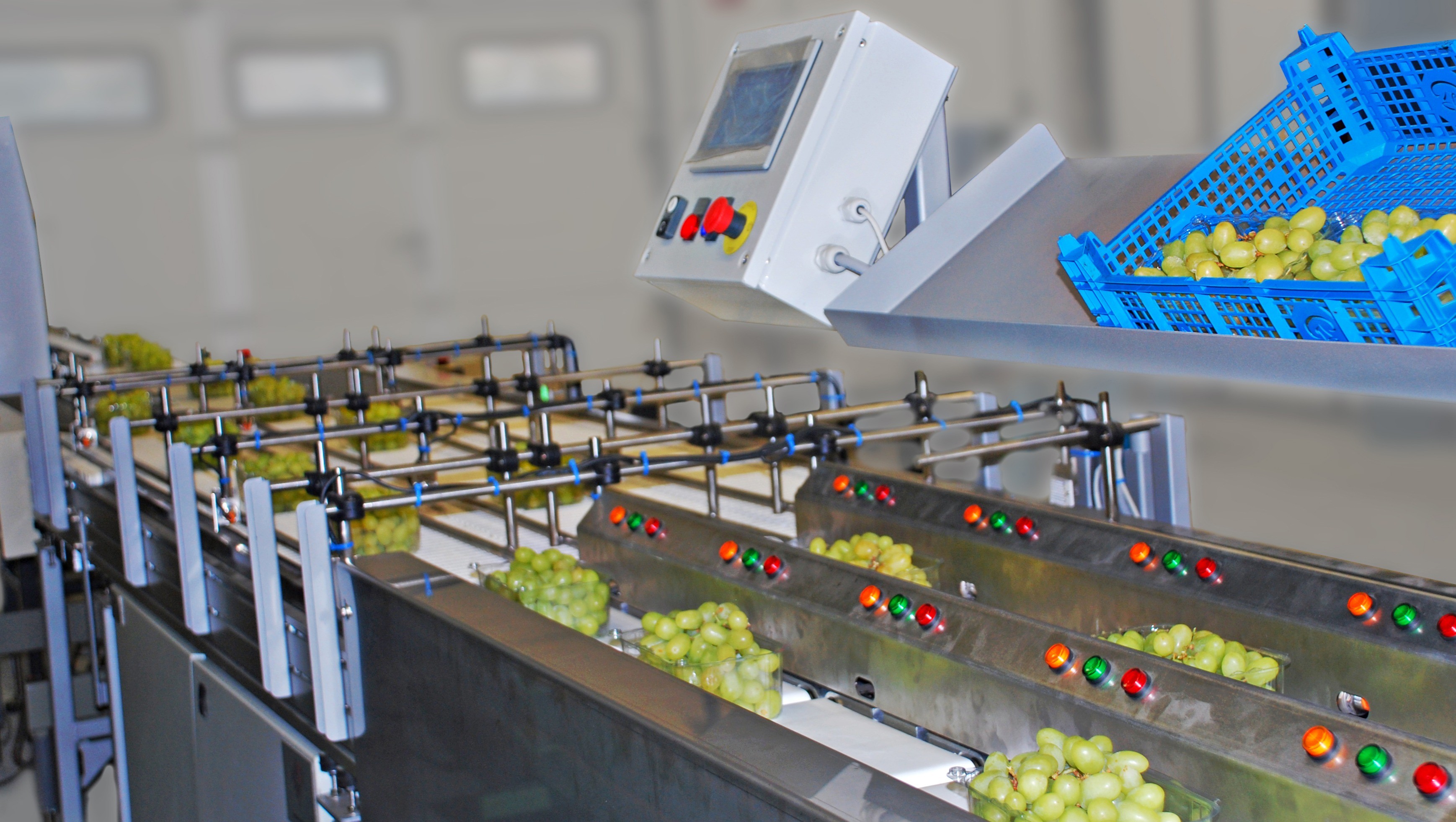 Innovative weighing machine for the food industry
