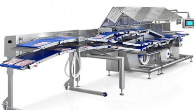 Special: Sleegers Technique