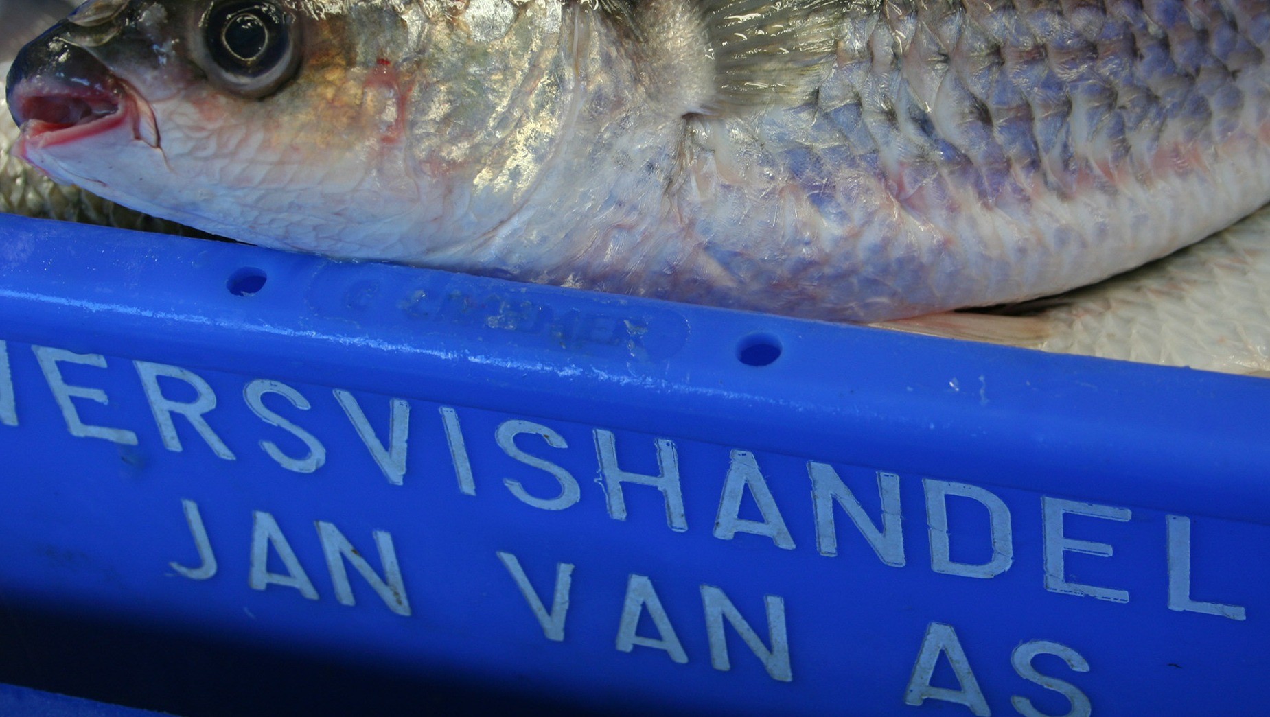 Jan van As: Pioneer in innovation and sustainability