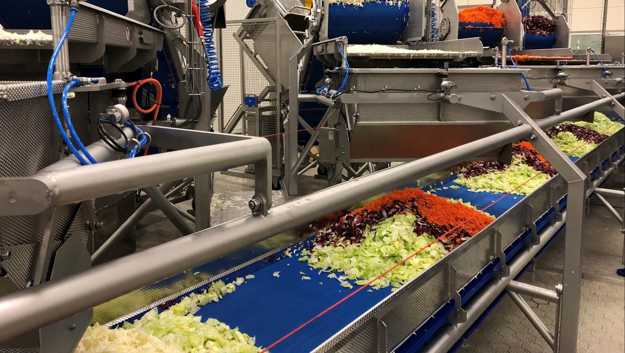 Processing and weighing fruits and vegetables.