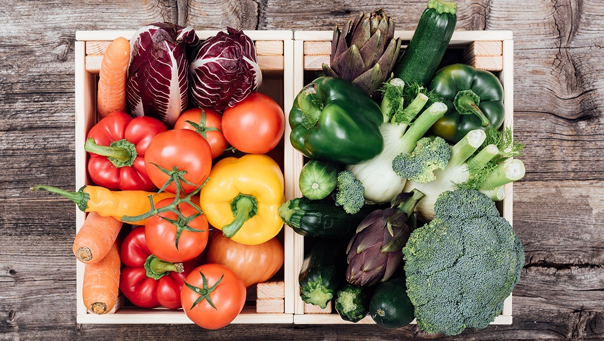 Huge sales increase in hybrid vegetable products