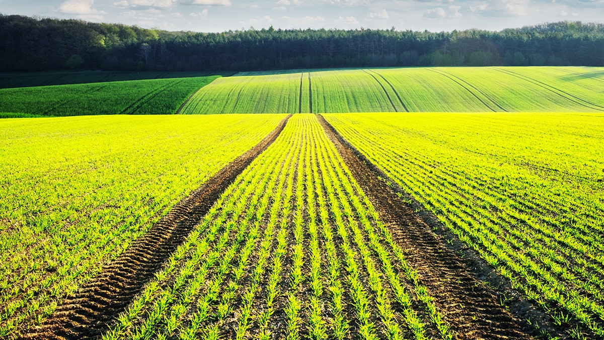 Team WUR scores with vision on food system in 2050