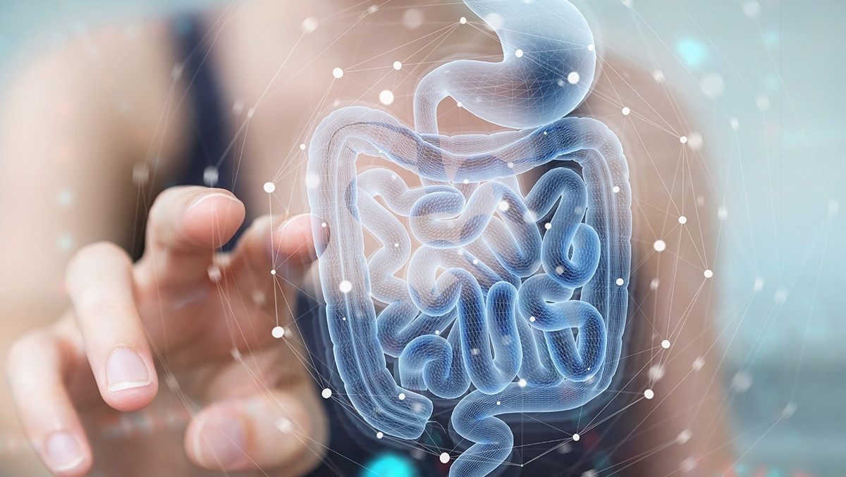 Wat zijn ze waard, die nieuwe eiwitten?