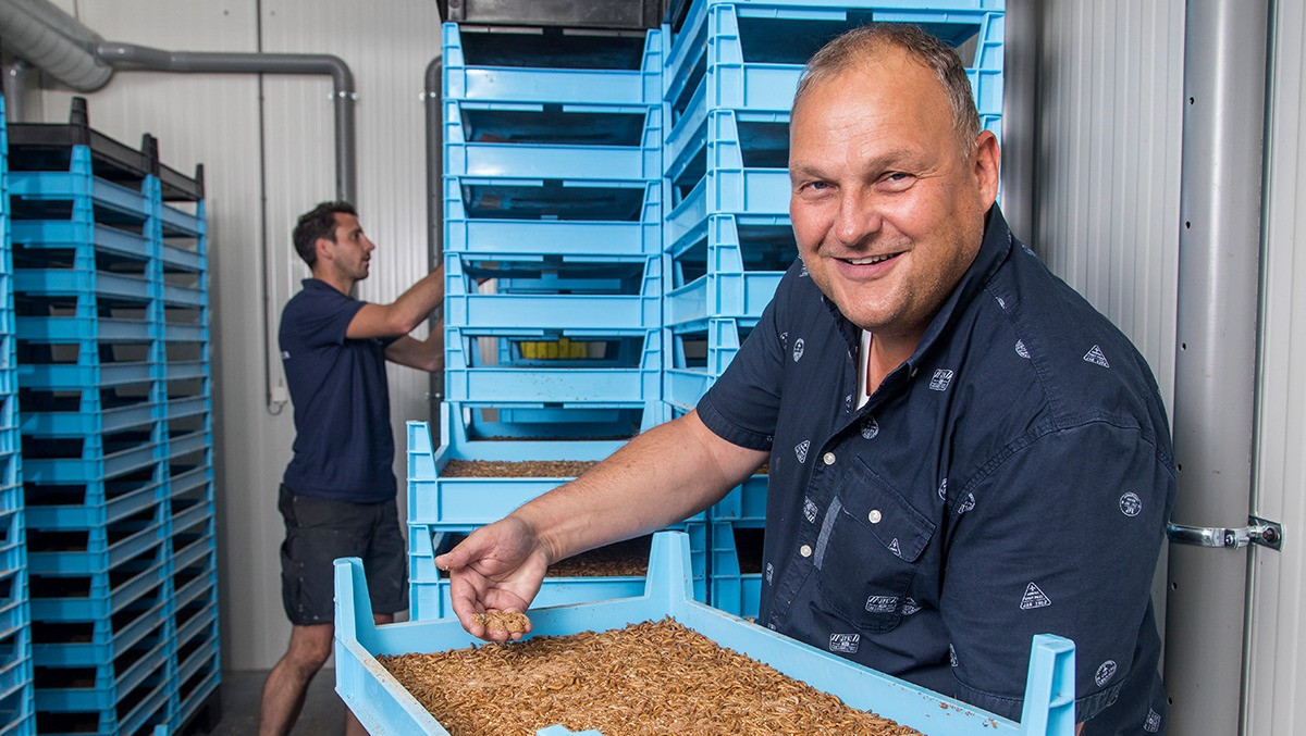 Benus: 'Bug breeding: an industry with lots of potential'