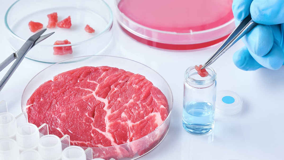 Kostprijs van kweekvlees kan aanzienlijk omlaag