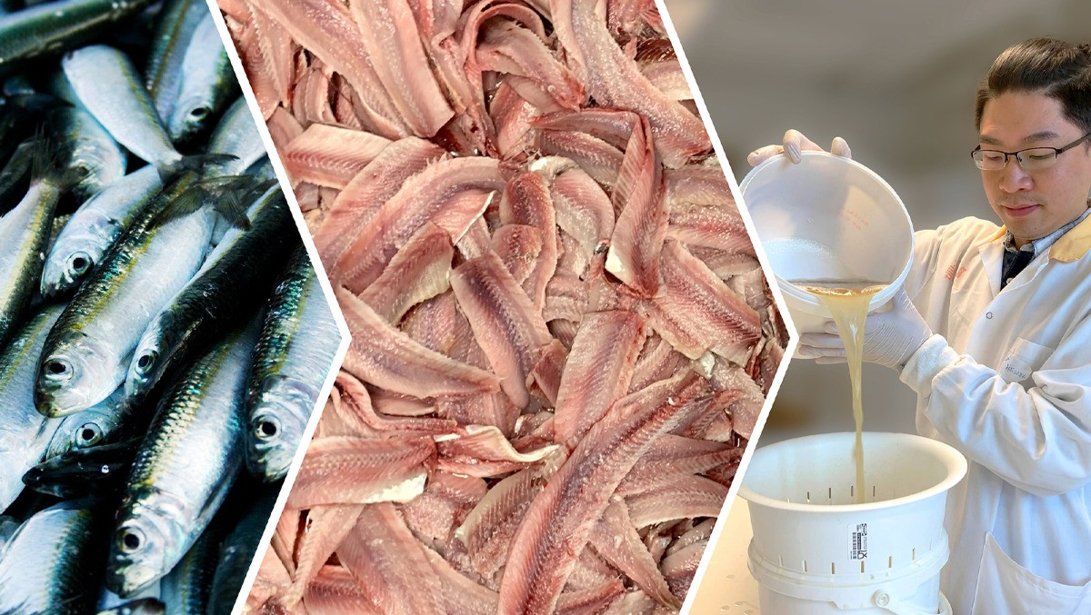 New dipping solution turns the whole fish into valuable food