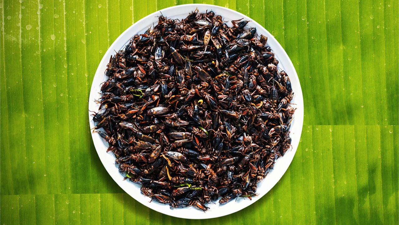 Cricket-based food ingredient safe