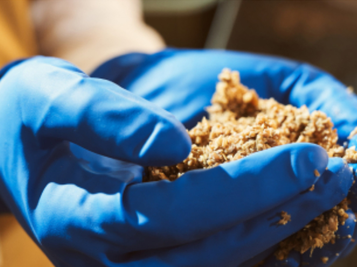Bierbostel opwaarderen voor food: veelbelovend!