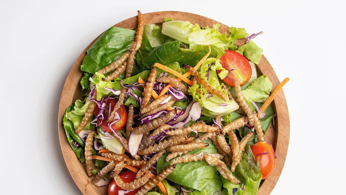 The Dutch are willing to eat more insects