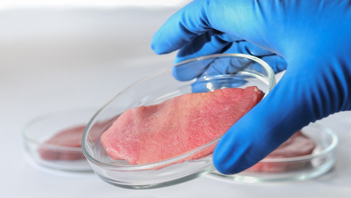 Cultivated meat to be grown on farms across Europe?