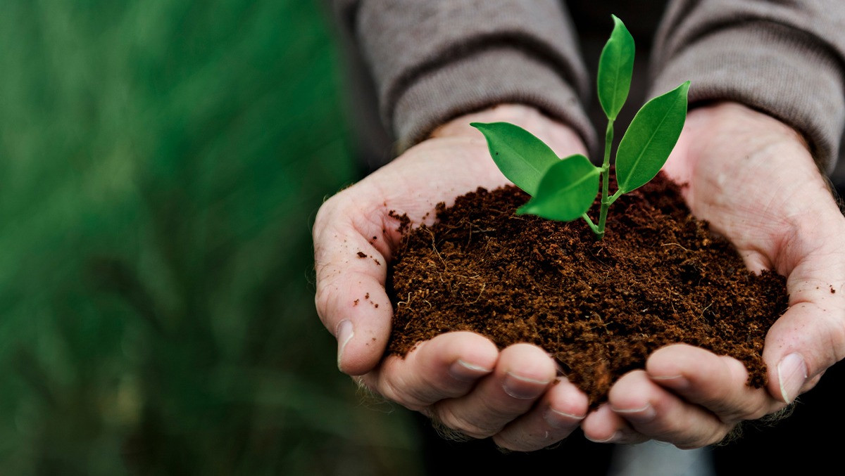 Enhanced sustainability claims rules take effect