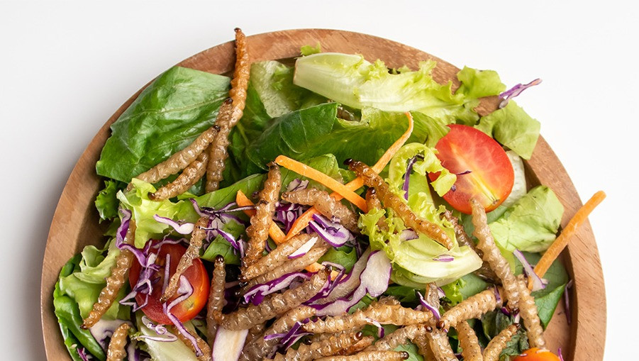 How to make insect food mainstream?