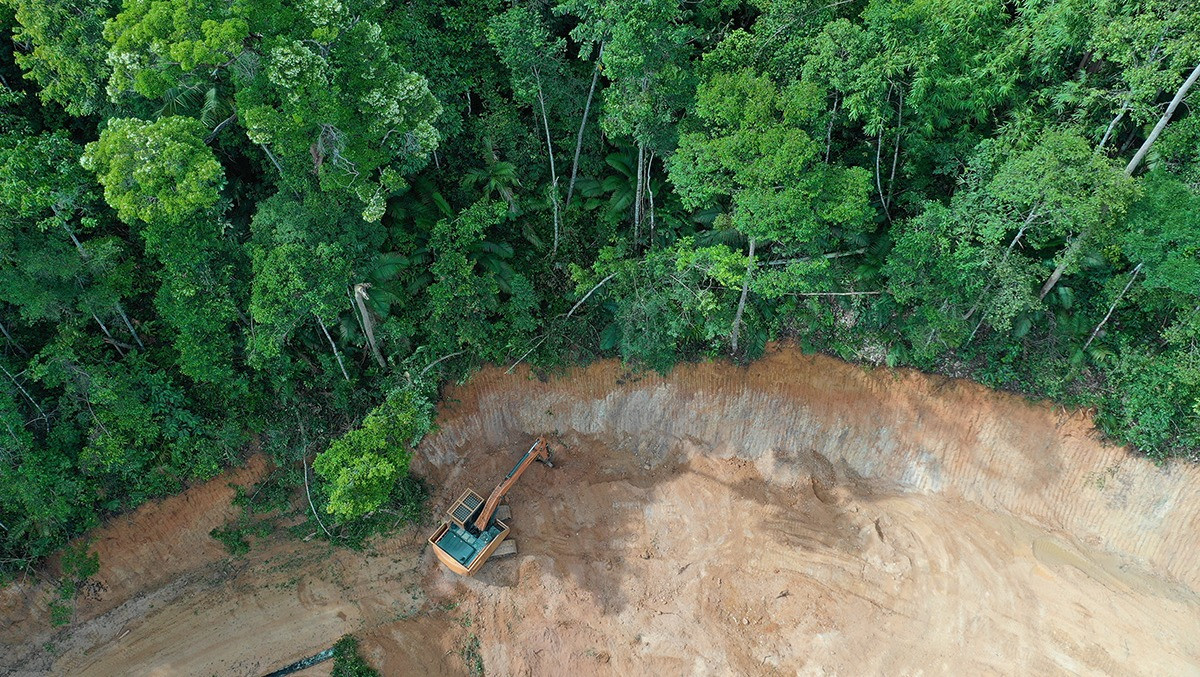EU law on deforestation-free products is a reality
