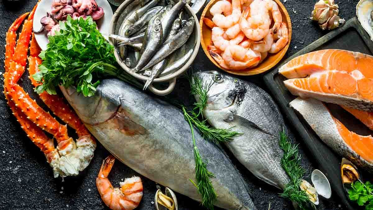 Nieuw Rapport: EU wil Transparantie en Uniformiteit op Vismarkt