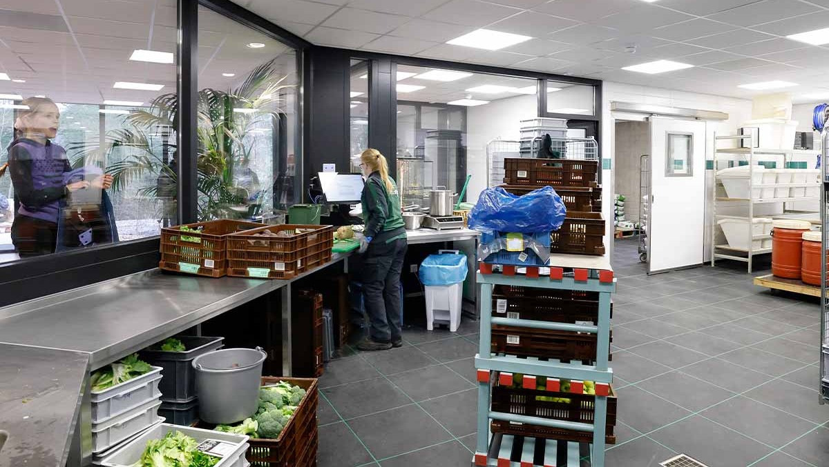 A glimpse into the animal kitchen at Amersfoort Zoo