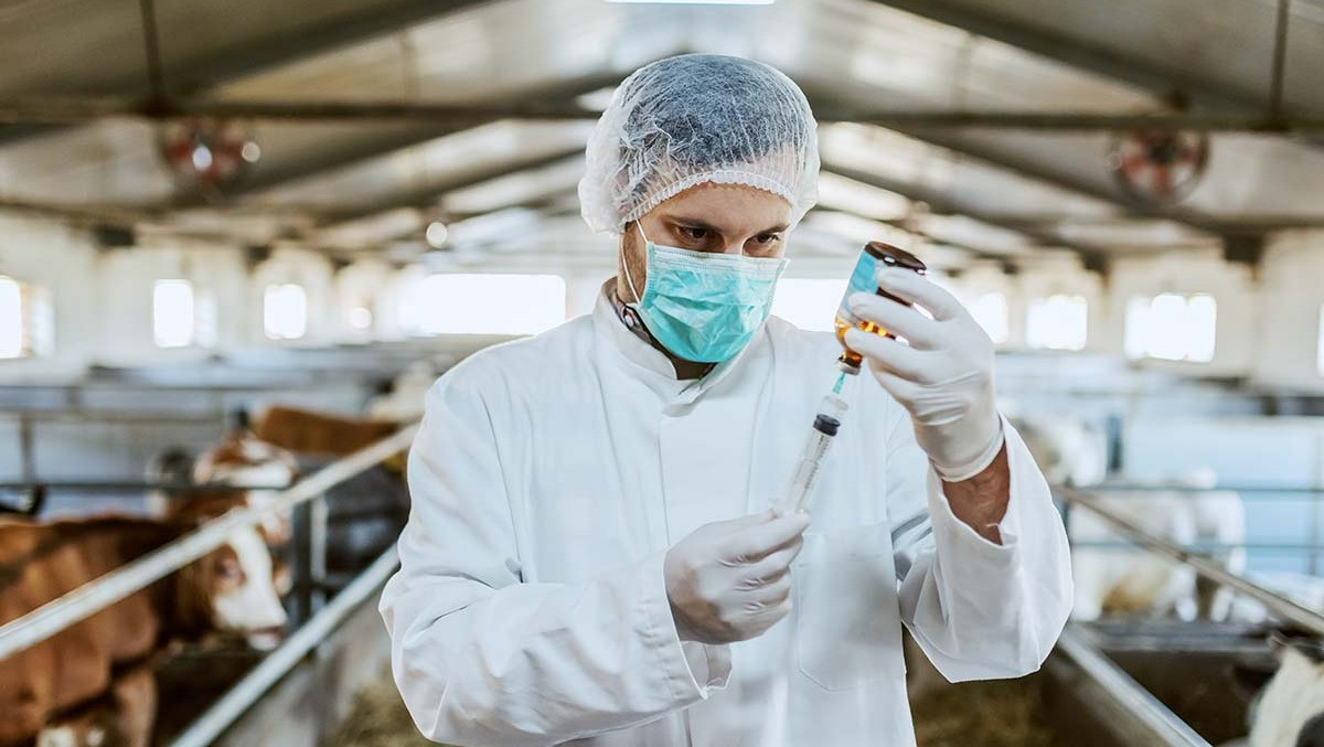 EFSA: Low antibiotic residues in food