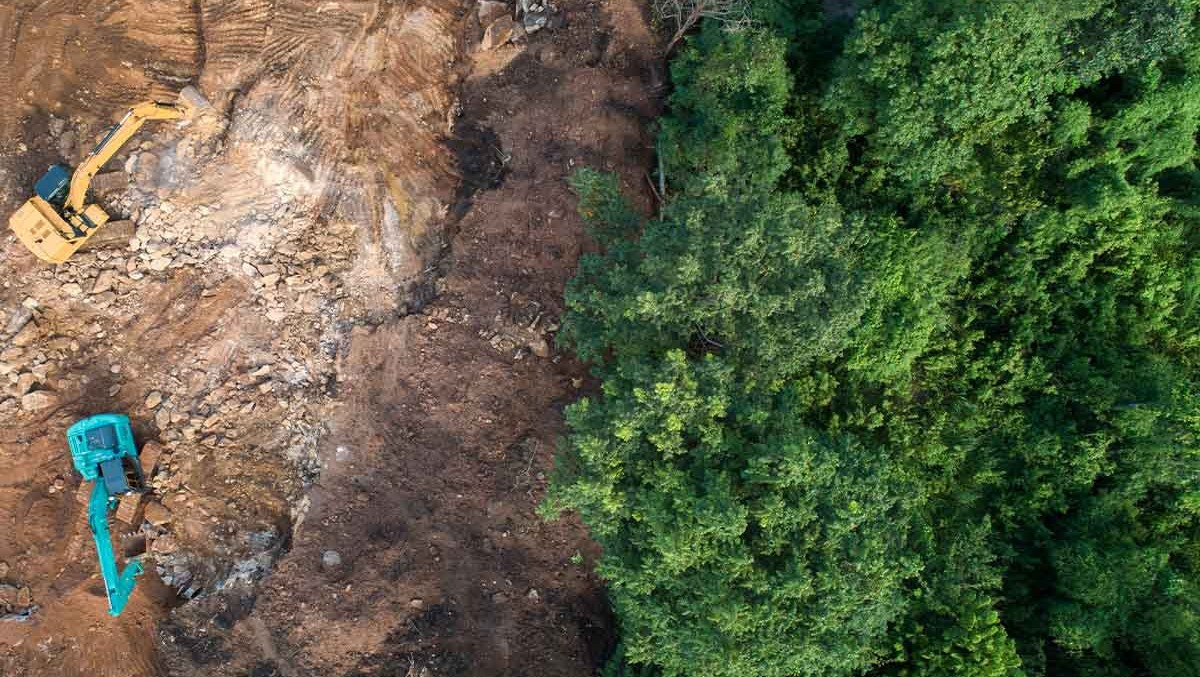 EU commits to deforestation-free products by 2025