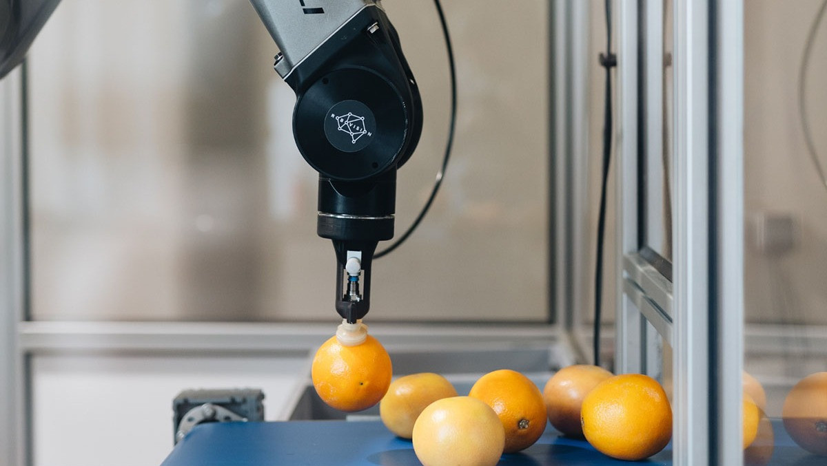 QING: The power of AI in food processing