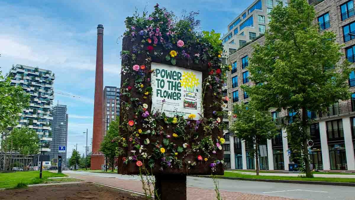 Unique billboard plants flowers for bees