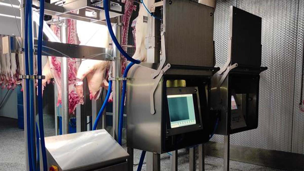 Van Hoornweder enhances slaughter process with CSB software